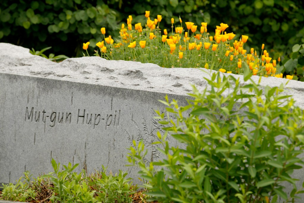 10 things You Should Know About the Henry Madden Library – Fresno State ...