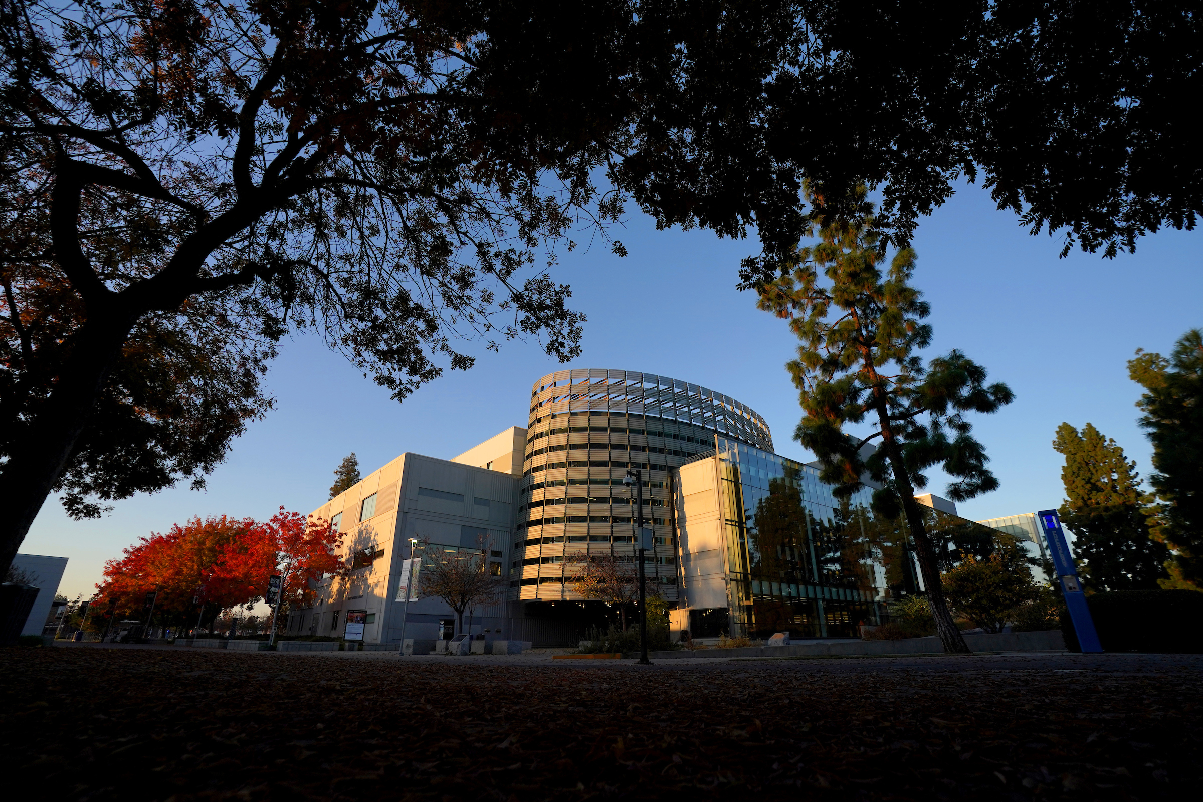 Library receives grant to expand Asian American studies materials ...