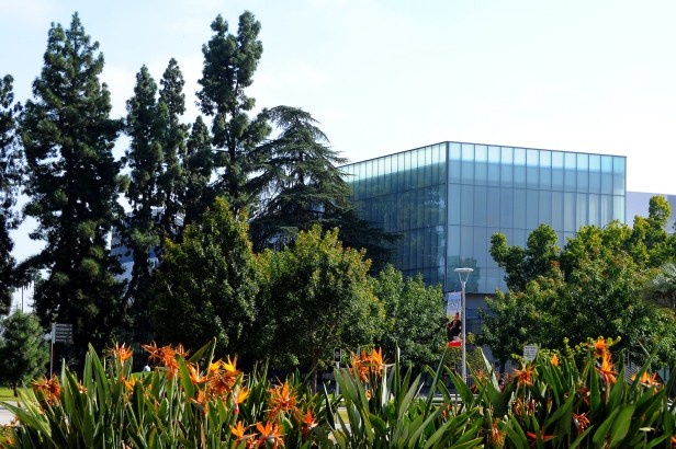 Fresno State Library News – Boldly educating and empowering students ...